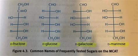 Carbohydrate Structure And Function Flashcards Quizlet