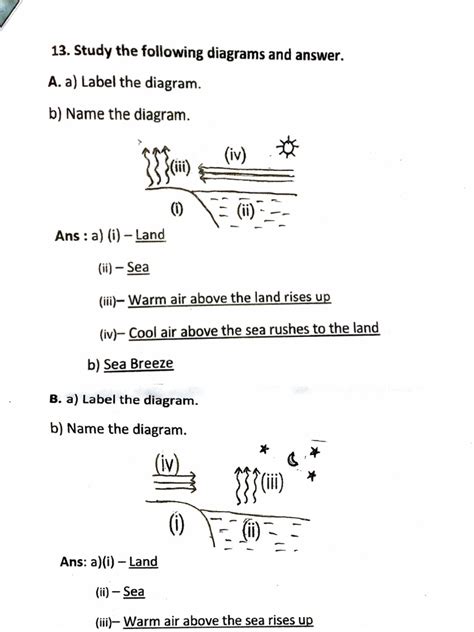 V Science Diagrams Pdf