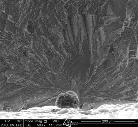 Micrograph Of The Fatigue Crack Nucleation Region Of The 40 V6 H Download Scientific Diagram