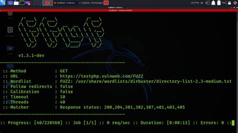 Ffuf Fast Web Fuzzer Linux Tool Written In Go Geeksforgeeks