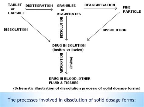 Factors Affecting Dissolution Rate A Full View Pptx
