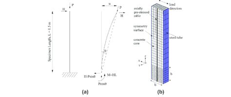 Free Body Diagram A And Finite Element Discretization B Of Cft