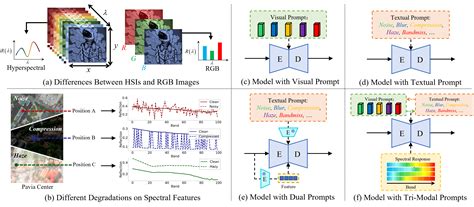MP HSIR A Multi Prompt Framework For Universal Hyperspectral Image Restoration