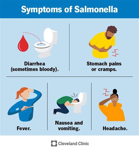 Salmonella Outbreaks Causes Symptoms And Treatment 2023