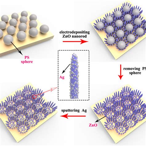 Schematic For Fabricating Ordered Arrays Of Ag Nps Decorated Zno Nrs