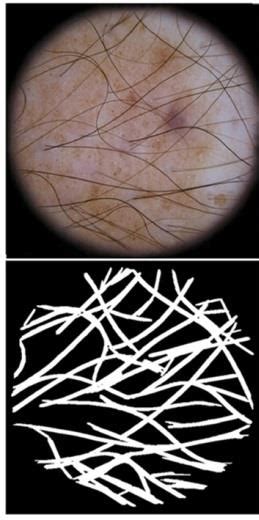 2 The Results Of The Hair Segmentation Algorithm 12 Download