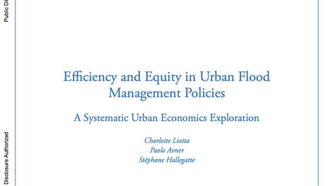Efficiency And Equity In Urban Flood Management Policies A Systematic Urban Economics