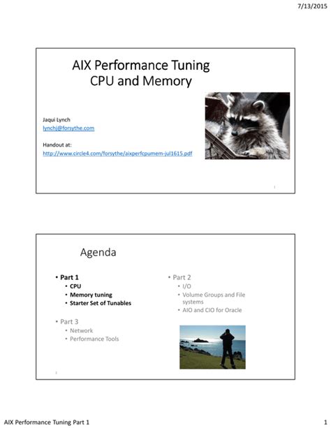 Aix Performance Tuning Cpu And Memory Optimization