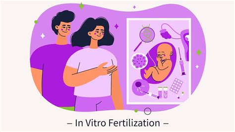 Ivf Explained Different In Vitro Fertilisation Ivf Techniques That