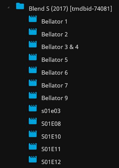 Library Metadata Refresh Does Not Fix Missing Metadata Identify Option Missing Too Rjellyfin