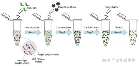 一文分清ip、co Ip、chip、rip、pull Down！ 知乎