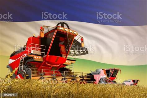 농업 결합 수확기의 산업 3d 그림은 레소토 국기 배경으로 밀 밭에서 작업 식품 생산 개념 3차원 형태에 대한 스톡 사진 및