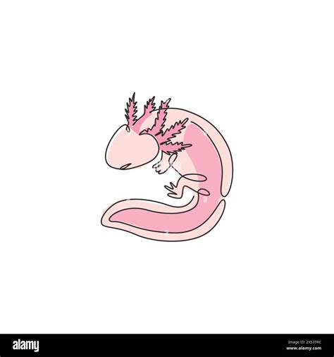 One Continuous Line Drawing Of Cute Axolotl For Company Logo Identity Water Salamander Mascot