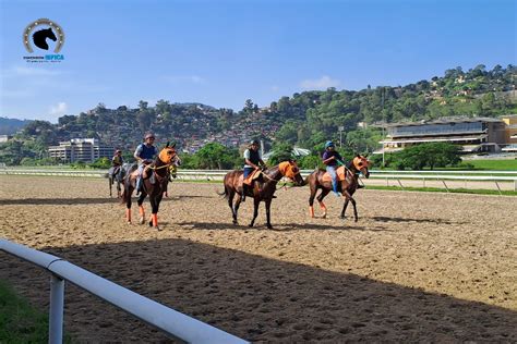 Ajustes Para Las Carreras De La Rinconada Del 3 11 2024 Dimensión Hípica