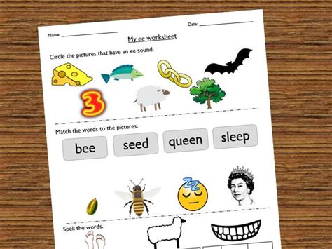 Differentiated Phonics Worksheet Ee Sound Teaching Resources