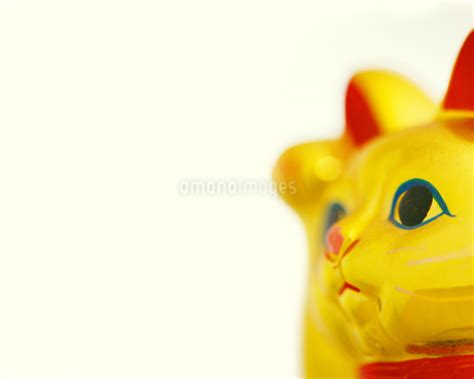 まねき猫の写真素材 Fyi01445246 ストックフォトの Qlean Market（キュリンマーケット）