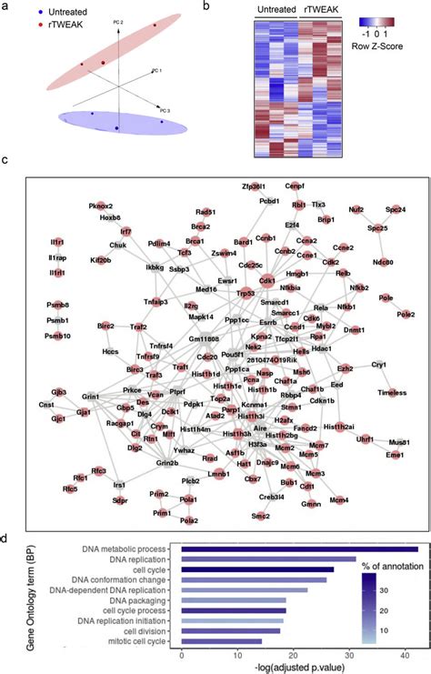 Rna Seq Pca