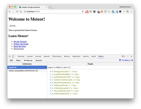 E42 Experience Meteor Mongo Ics 314 Fall 2020