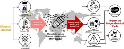 气候压力源对微塑料中溶解有机物浸出的影响及其对生物地球化学过程的影响综述 Water Research X MOL