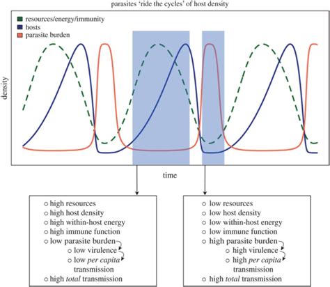 Density Dependent Factors Graph