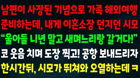 실화사연 남편이 사장된 기념으로 가족 해외여행 준비하는데 내게 이혼소장 준 시모 니년 말고 새며느리랑 갈거다 웃으며