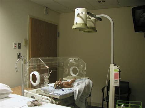 Aset Department Of Education Report Why Is Continuous Eeg In The