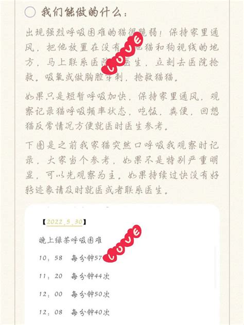 猫呼吸急促怎么办正常呼吸和腹式呼吸的区别你清楚了吗 知乎