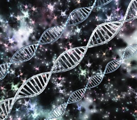 Dna螺旋，人类基因组