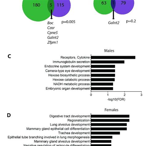 Sex Specificity Of Pb Induced Changes In DNA Methylation A B Venn Download Scientific