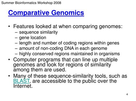 Ppt Comparative Genomics And Phylogenetics Powerpoint Presentation Free Download Id 5992076