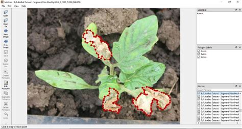 Labelme Annotation Tool Download Scientific Diagram