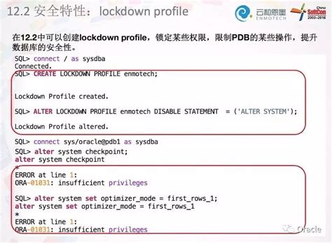 软件大会分享ppt：面向开发和dba的oracle 12c新特性 墨天轮