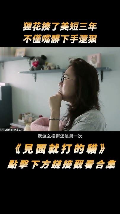 狸花揍了美短整整三年，不僅嘴髒下手還狠，不愧是貓界幹架扛把子shorts Youtube