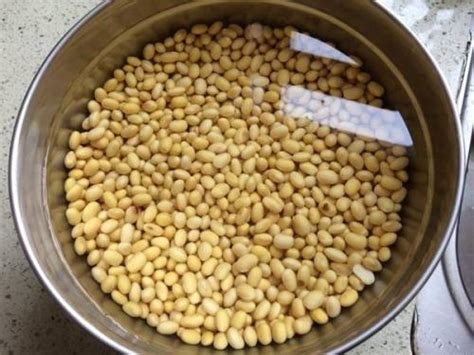 零失敗豆腐腦做法安全無添加 喜歡的朋友在家裏做下吧 每日頭條