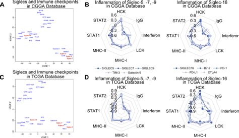 Siglec 5 −7 −9 And −16 And Immune Checkpoints Share Biological Download Scientific Diagram