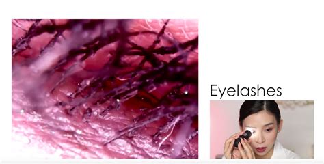 Eyelash Under Microscope