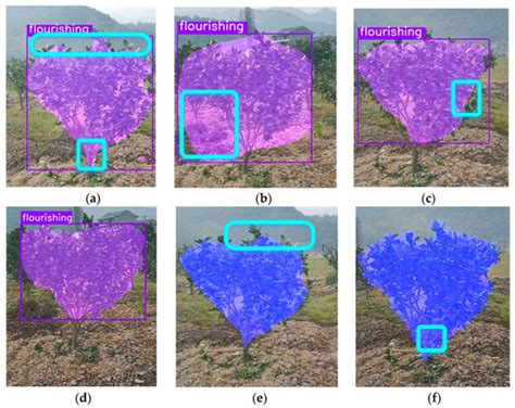 Citrus Tree Crown Segmentation Of Orchard Spraying Robot Based On Rgb D Image And Improved Mask