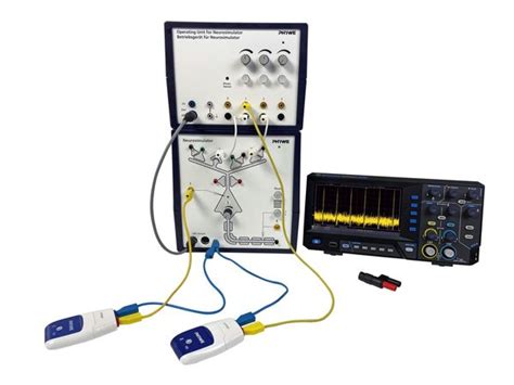 Neural Networks With Cobra Smartsense Phywe