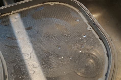 Heels 2 Handy Homeowner How To Clean A Clean Lint Trap