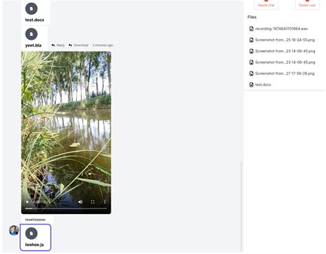 Whisper Txt Or Other Simple Files Dont Show Up On Files List Of