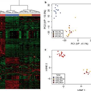 Gene Expression Profiling Data Obtained After RNA Sequencing Of Download Scientific Diagram