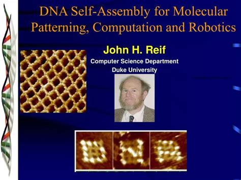 Ppt Dna Self Assembly For Molecular Patterning Computation And