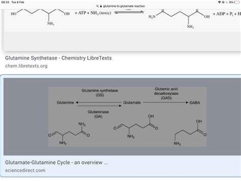 Brs Mock Notion Exam 2 Flashcards Quizlet
