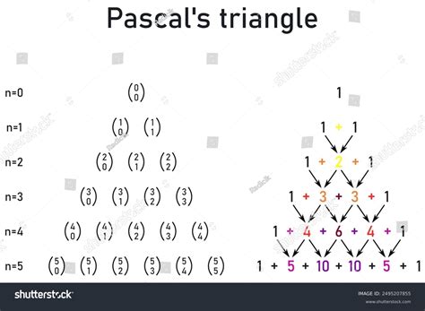 Pascals Triangle Graphic Presentation Color Explanation Stock Vector Pascals Triangle Graphic Presentation Color Explanation Stock Vector