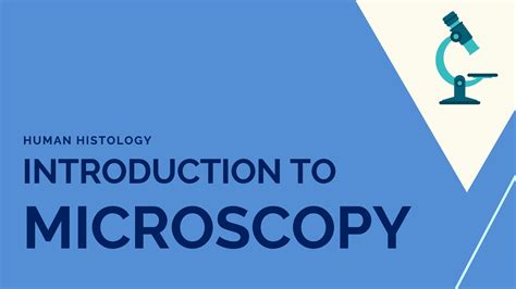 SOLUTION Histo Lab Lecture 2 Introduction To Microscopy 1 Studypool