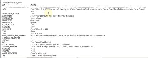 jvm相关指令 sysprop指令 《jvm》 极客文档