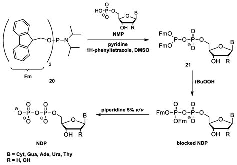 Nucleoside Triphosphate