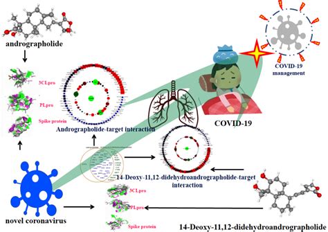 Combination Of System Biology To Probe The Anti Viral Activity Of Andrographolide And Its