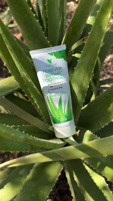 Natural Toothgel 💚 Are You Looking For A Gentle Fluoride Free Way To