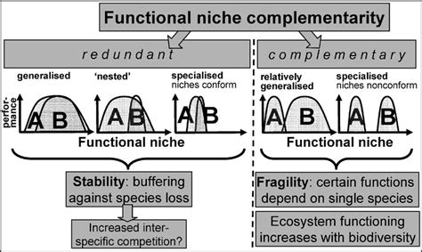 The Relationship Between Functional Niche Complementarity Download Scientific Diagram